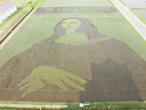 The Amazing Rice Paddy Art of Japan | Amusing Planet